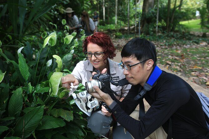 Photography and Nature in Cairns Botanic Gardens Let's Go Buggin - Who Will Love This Tour?