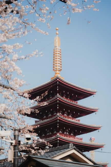 Photography Tour of ASAKUSA, TOKYO - Exploring Asakusa Through Your Lens