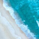 Photography Workshop Ideal For Beginners - Who Will Enjoy This Experience?