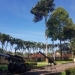 Phu My Shore Excursion: A Wonderful Day in Vung Tau City - What Travelers Say