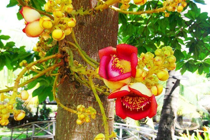 PHU MY SHORE EXCURSION: Saigon Past and Present Tour - Frequently Asked Questions