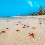 Phu Quoc: 3-Day 2 Night with Boat Tour - Analyzing the Value