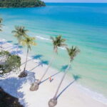 Phu Quoc: Hon Thom Cable Car & Sun World Nature Park Tour - Evaluating the Value
