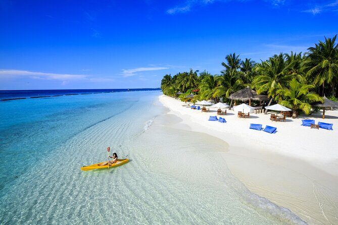 Phu Quoc Southern Island full day tour - Transportation and Practicalities