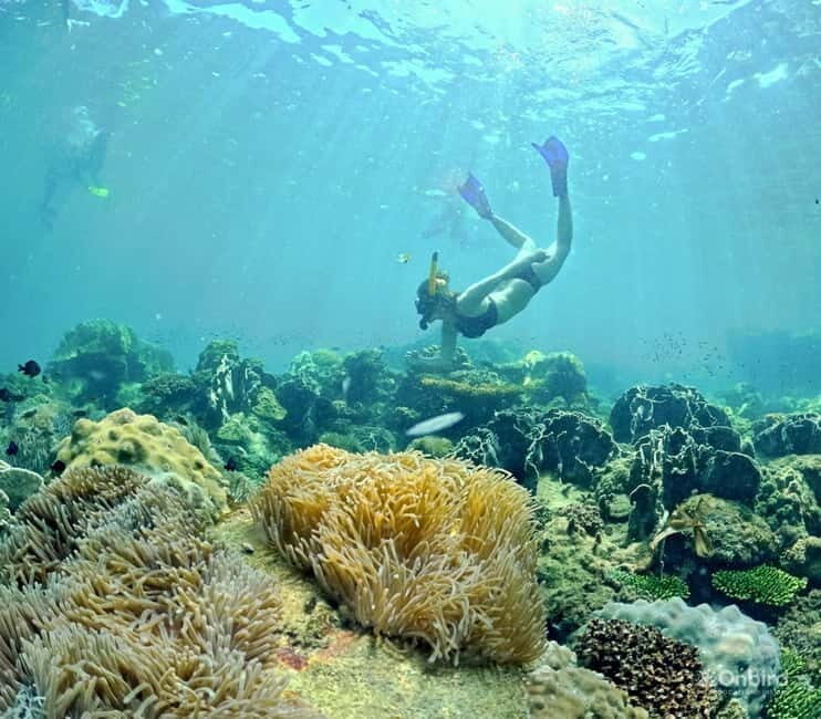 Phu Quoc Speedboat Pro Snorkeling: 4 Islands-2 Reefs & Meal - An Authentic Snorkeling Adventure in Phu Quoc
