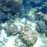 PHU QUOC TRIP 2: 2 ISLANDS BY BOAT - What’s Included and What’s Not