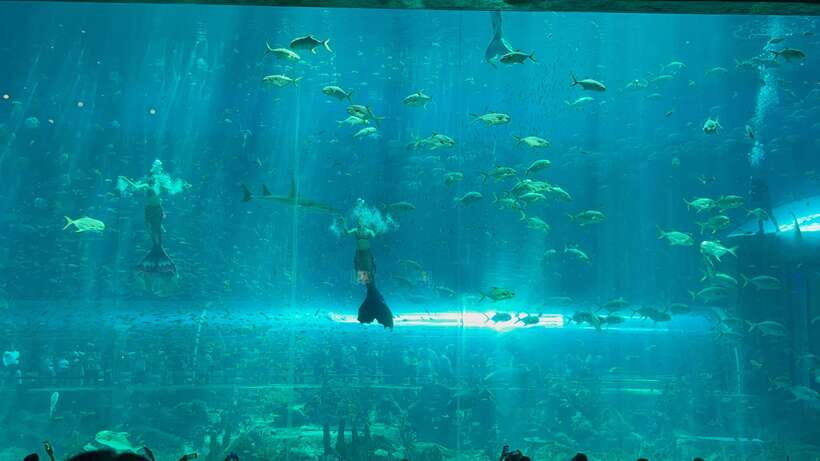 Phu Quoc VinWonders Theme Park And Safari Wildlife Tour - The Sum Up