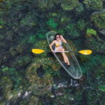 Phu Quy Stand-Up Paddle Boarding And Snorkeling Day Tour - The Experience in Detail: Breaking Down the Day