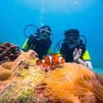Phuket: 3 Khai Islands Speedboat Tour- Snorkeling & Relaxing - What Makes This Tour Stand Out