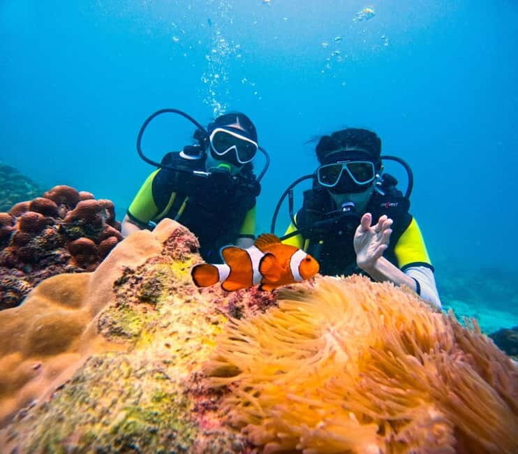 Phuket: 3 Khai Islands Speedboat Tour- Snorkeling & Relaxing - What Makes This Tour Stand Out