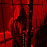 Phuket: Dark House Horror Quest Game - Why Choose Dark House?