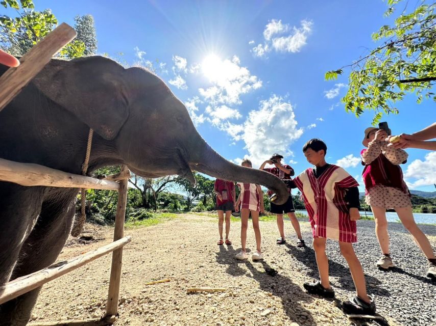 Phuket: Elephant Experience with Lunch or Dinner and Pickup - The Itinerary: What to Expect from Start to Finish