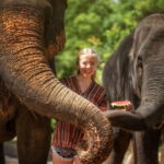 Phuket: Elephant Jungle Sanctuary Half-Day Visit with Meal - What Makes This Tour Stand Out?