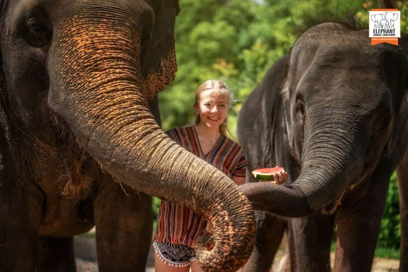 Phuket: Elephant Jungle Sanctuary Half-Day Visit with Meal - What Makes This Tour Stand Out?