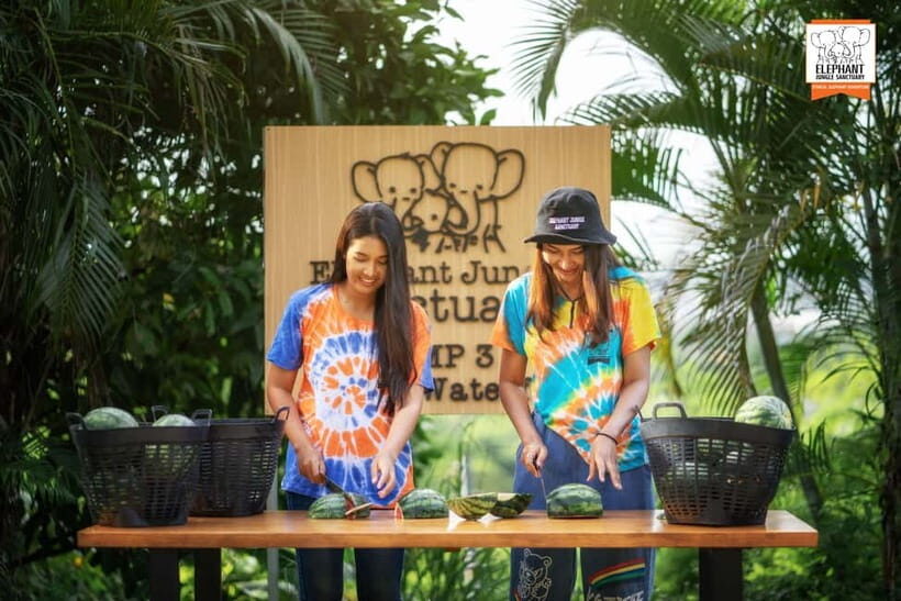 Phuket: Elephant Jungle Sanctuary 'Watch Me' Experience - Additional Details and Tips