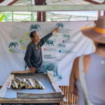 Phuket: Elephant Sanctuary Feed and Bathe Gentle Giants - Authentic Experiences and Reviewer Insights