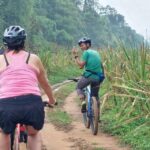 Phuket: Half-Day Countryside Cycling Tour with Lunch - What Makes This Tour Stand Out?