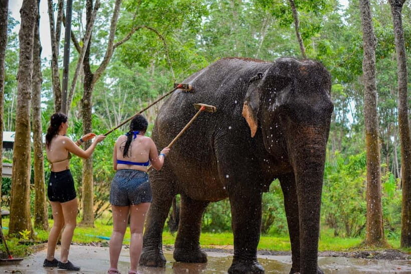 Phuket: Happy Hour Feed and Rain Shower with Elephant - What’s Included and What’s Not