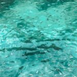 Phuket: James Bonds Island with Lunch and Sea Cave Canoe - The Itinerary in Detail