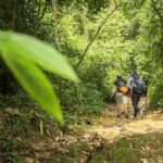 Phuket: Jungle Trekking Experience at Khao Phra Taew - An In-Depth Look at the Khao Phra Taew Trekking Tour