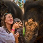 Phuket: Lily Elephant Half day Trip on the Beach with lunch - What Makes This Tour Special?