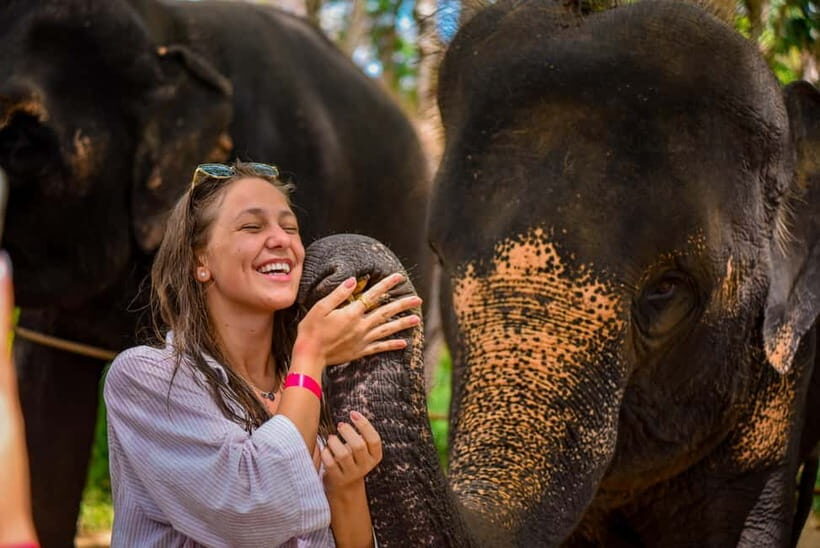 Phuket: Lily Elephant Half day Trip on the Beach with lunch - What Makes This Tour Special?