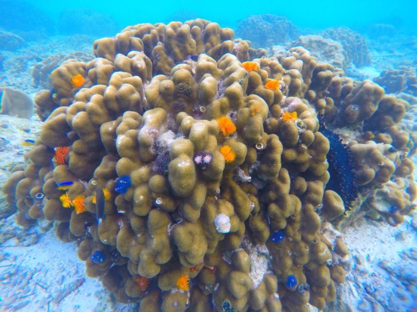 Phuket: Maya Bay, Phi Phi, Green, and Khai Islands Day Trip - What’s Included and What’s Not
