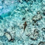 Phuket: Maya, Phi Phi, and Bamboo Island with Buffet Lunch - What’s Included and What You Should Budget For