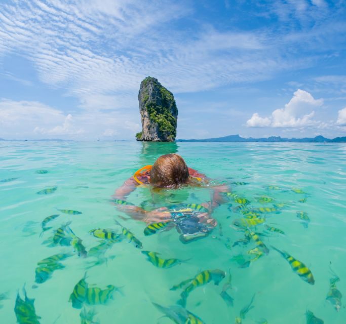 Phuket: Phi Phi & Bamboo Island Day Trip with Buffet Lunch - Who Will Love This Tour?