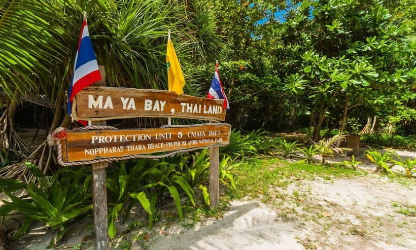 Phuket : Phi Phi Island Trip by Speedboat with Lunch - What Makes the Experience Special