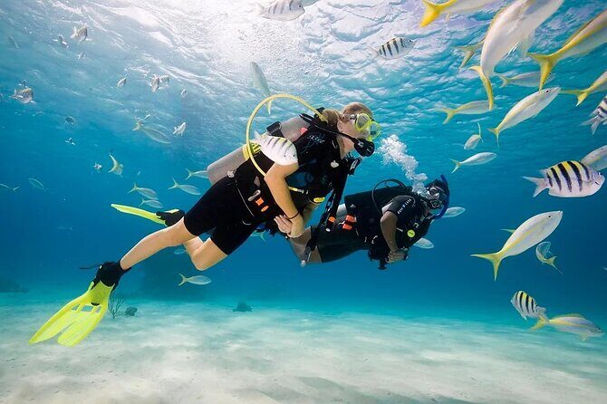 Phuket Scuba Diving and Snorkeling Offshore 2 Islands Full-Day by Speed Boat - How the Day Unfolds: From Hotel to Island Waterways