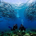 Phuket: Scuba Diving Maithon Or Racha Islands For All Levels - Final Thoughts