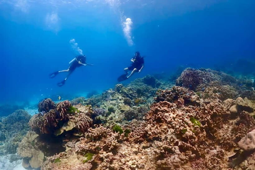 Phuket Scuba Diving Racha Islands 1-3 Dives For All Levels - What to Expect: Day in the Marine Paradise