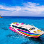 Phuket: Similan Island Day Trip by Speed Boat Catamaran - Authentic Experiences and Practical Tips