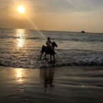 Phuket: Sunset Beach Horseback Journey - Practical Details and Tips