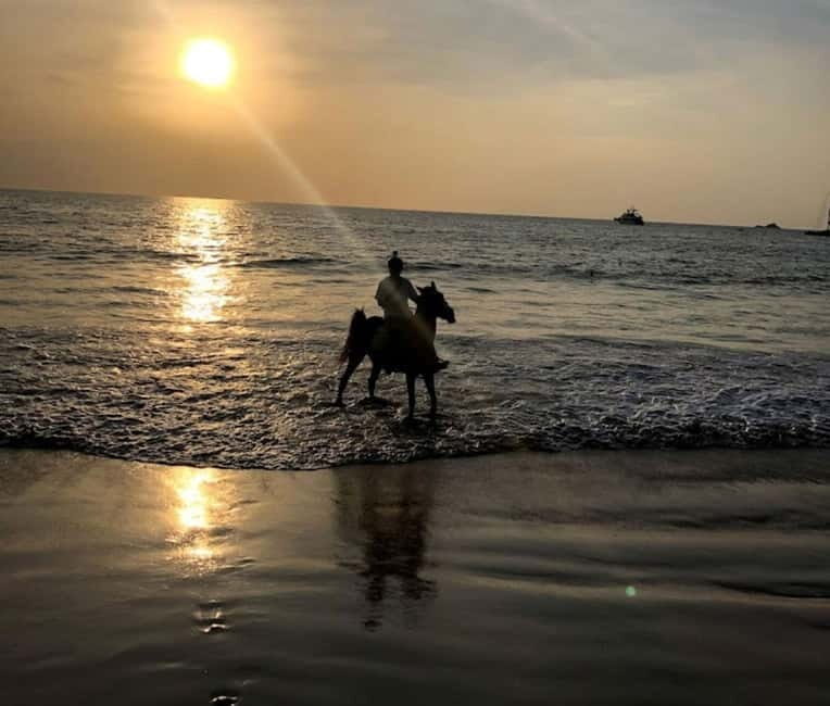 Phuket: Sunset Beach Horseback Journey - Practical Details and Tips
