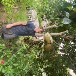 Phuket: Thai Cooking Class with local Market and Garden Tour - Why This Tour Offers Great Value