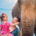 Phuket:Beach walk with elephants, rain & care. 2.5 hours - The Practicalities and Value