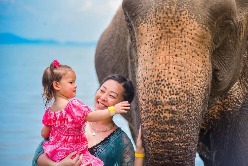 Phuket:Beach walk with elephants, rain & care. 2.5 hours - The Practicalities and Value