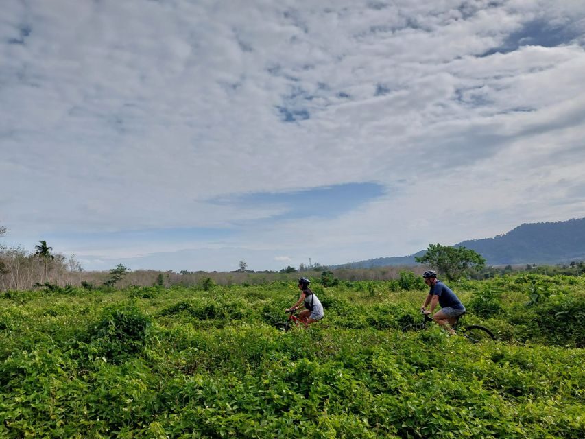 Phuket's Hidden Trails Biking Adventure Small-Group Tour - Transportation, Group Size, and Practical Details