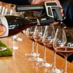Picnic and Wine Tasting Experience in the Barossa Valley - The Picnic: A Feast for the Senses