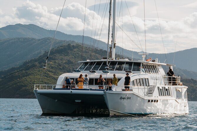 Picton Morning Guided Kayak with Afternoon Boat Cruise Tour - What Youll See and Experience on the Water