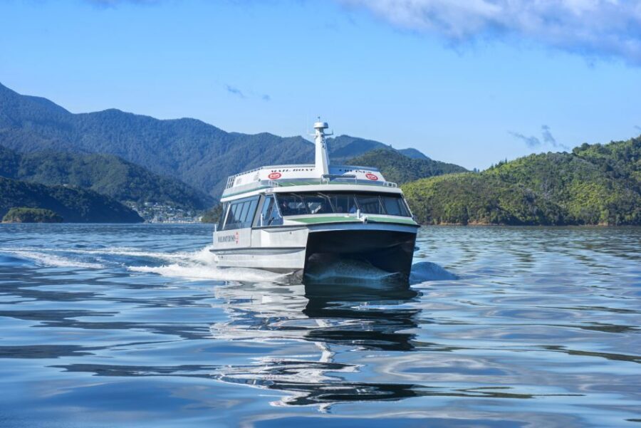 Picton: Queen Charlotte Sounds Sightseeing Cruise - An Authentic Glimpse of Queen Charlotte Sounds