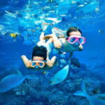 Pigeon Island Snorkeling Tour from Uppuveli Beach - What to Expect on the Tour
