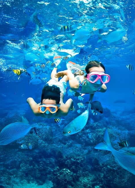 Pigeon Island Snorkeling Tour from Uppuveli Beach - What to Expect on the Tour