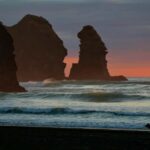 Piha Beach & Wilderness Private Tour: Auckland Half Day Trip - Transportation and Comfort
