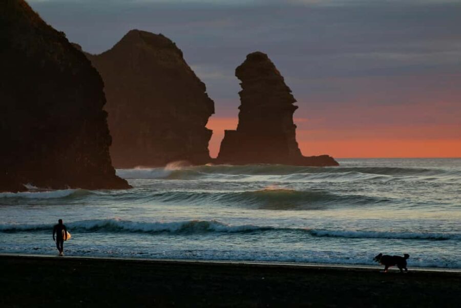 Piha Beach & Wilderness Private Tour: Auckland Half Day Trip - Transportation and Comfort