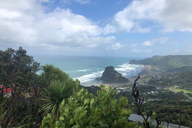 Piha Waitakere Rainforest Wine Tour from Auckland - What Travelers Love About This Tour