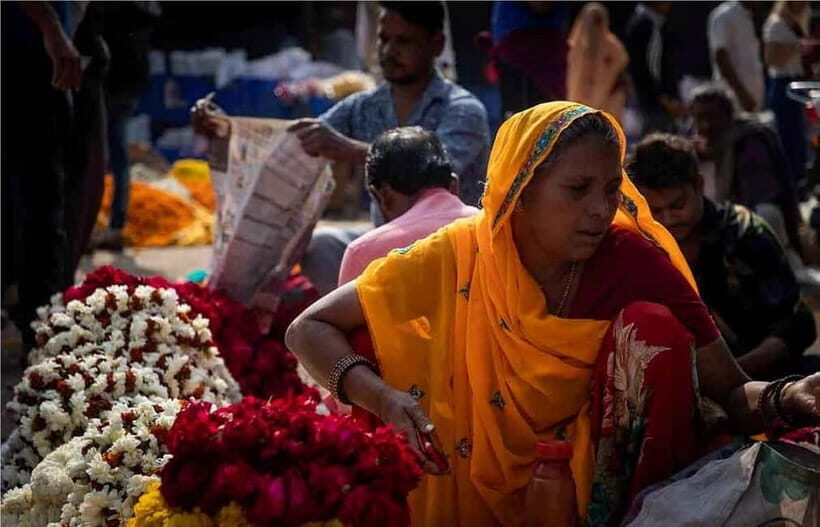 Pink City Jaipur Heritage & Cultural Guided Walking Tour - Practical Details and Tips