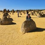 Pinnacle Day Adventure Tour - A Charming Break at Cervantes with Seafood Delights